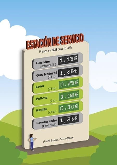 ¿Cuánto Más Barata Fue La Calefacción Con Biomasa Que Con Gas Natural ...